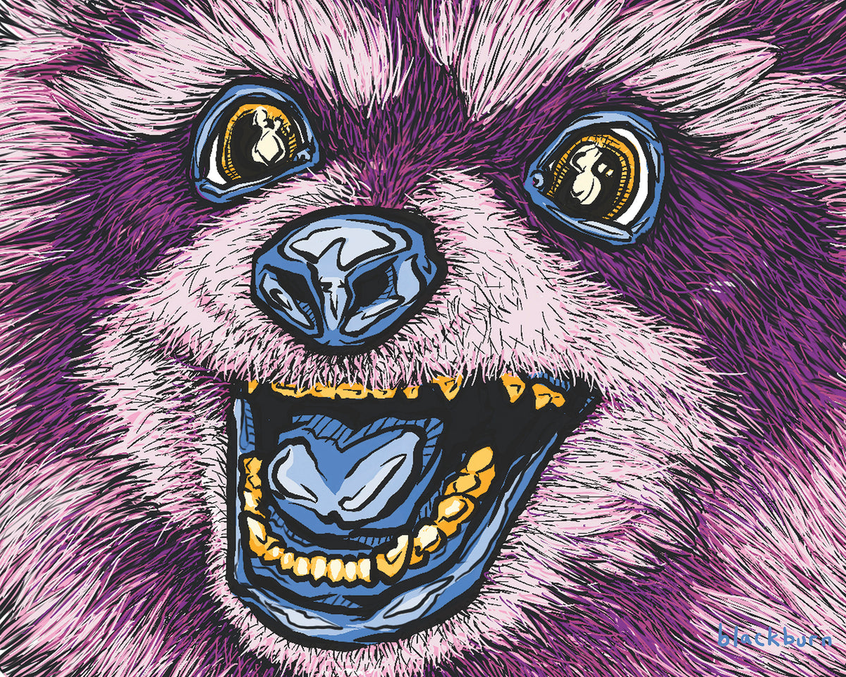 Smiling Bandit – Northern Contemporary Gallery